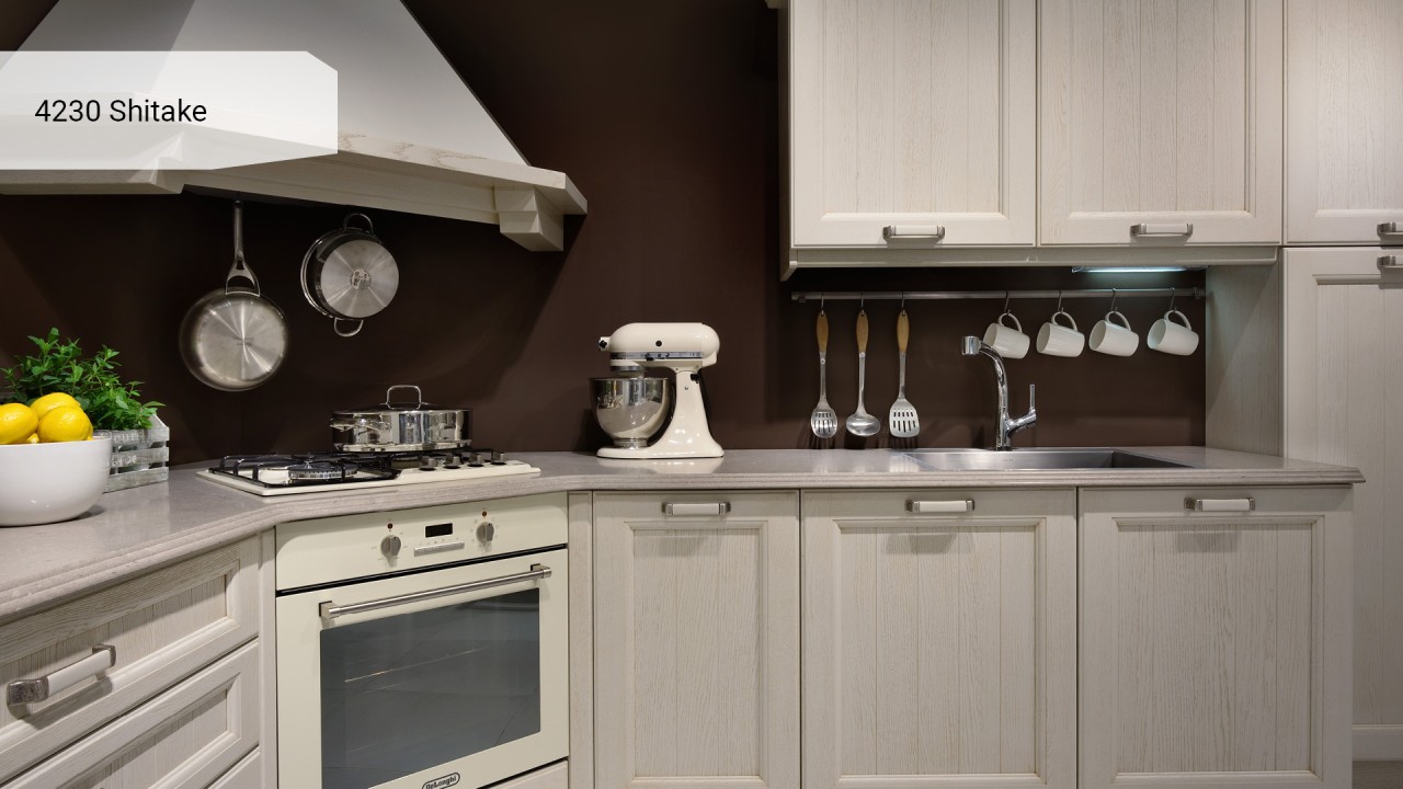 4230 Shitake | ArchiType